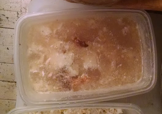 The Foundation Diet for Dogs